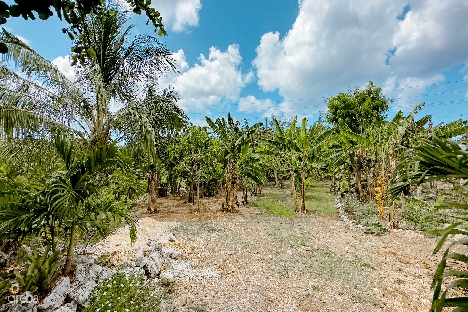 Prospect / Spotts / Newlands Real Estate, Grand Cayman Neighborhood ...